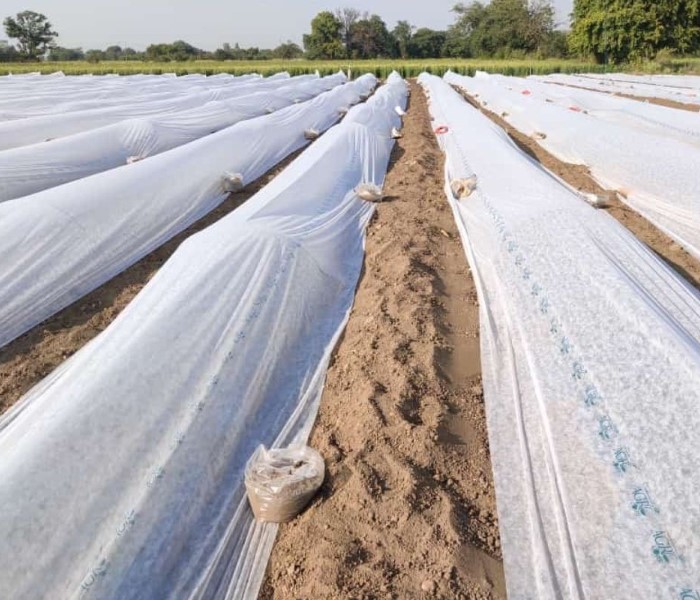 Maxwell Spun Melt Fabric Pvt Ltd